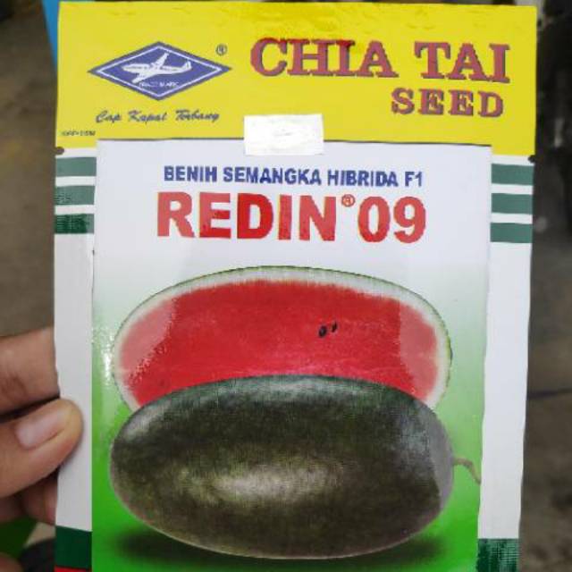 Jual Benih atau bibit semangka redin cap kapal terbang isi 10 gram ...