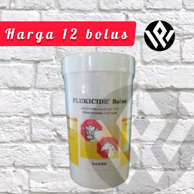 Jual Flukicide kemasan 12 bolus obat cacing hewan | Shopee Indonesia