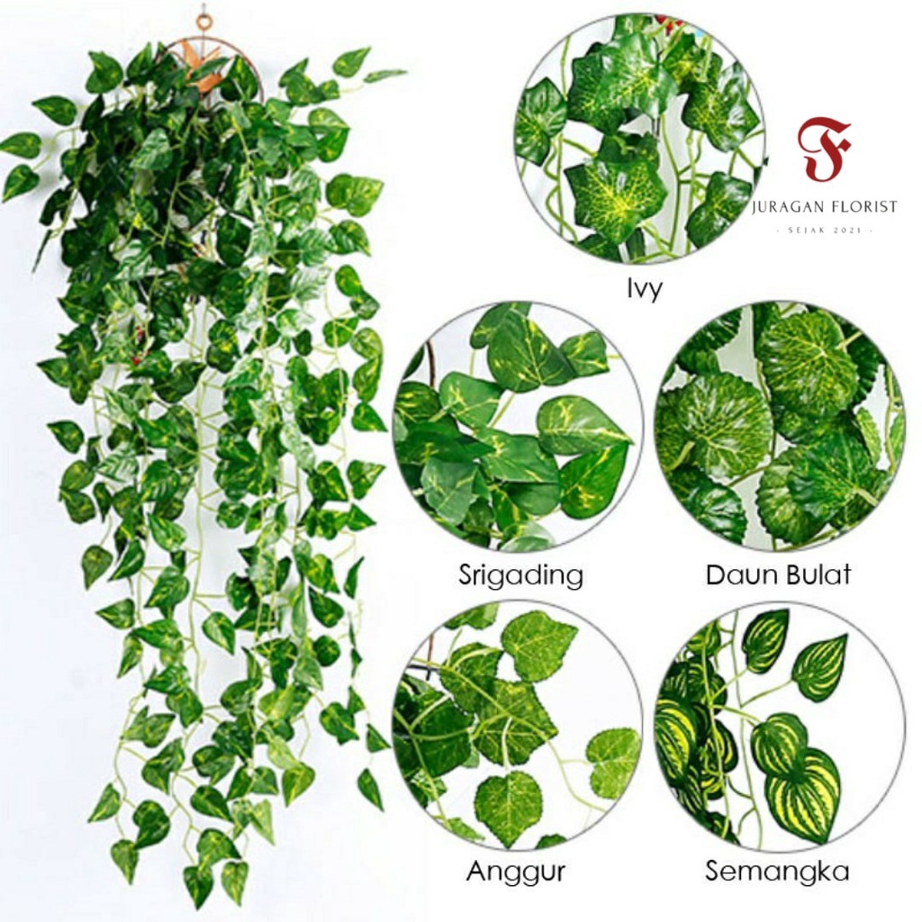 Jual DAUN RAMBAT JUNTAI 90X9 BUNGA PLASTIK PCS HIAS ARTIFISIAL DEKORASI ...