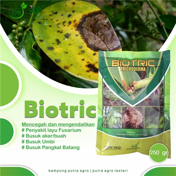 Jual Obat untuk mengatasi jamur layu fusarium - Biotric Trichoderma ...