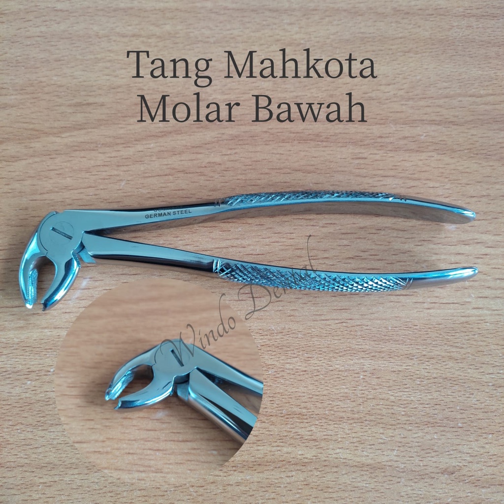 Jual DENTAL TANG CABUT GIGI DEWASA PER PCS ADULT TOOTH FORCEP / FORCEPT ...