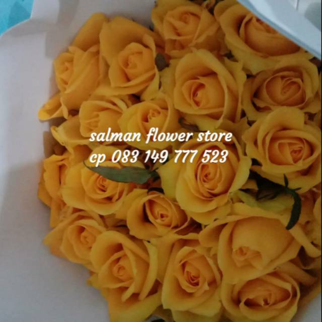 Jual Bunga mawar mohana per 20 batang bunga mawar potong bunga potong ...