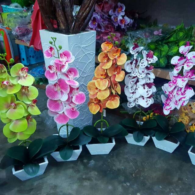 Jual Anggrek latex + pot kayu | Shopee Indonesia