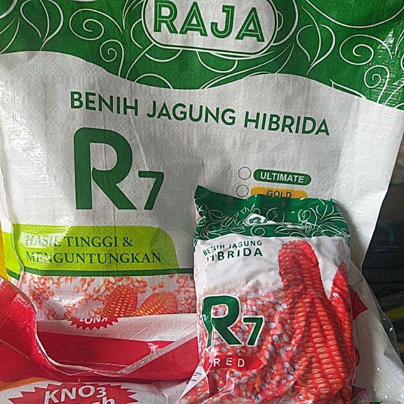 Jual BENIH JAGUNG R7 1KG | Shopee Indonesia