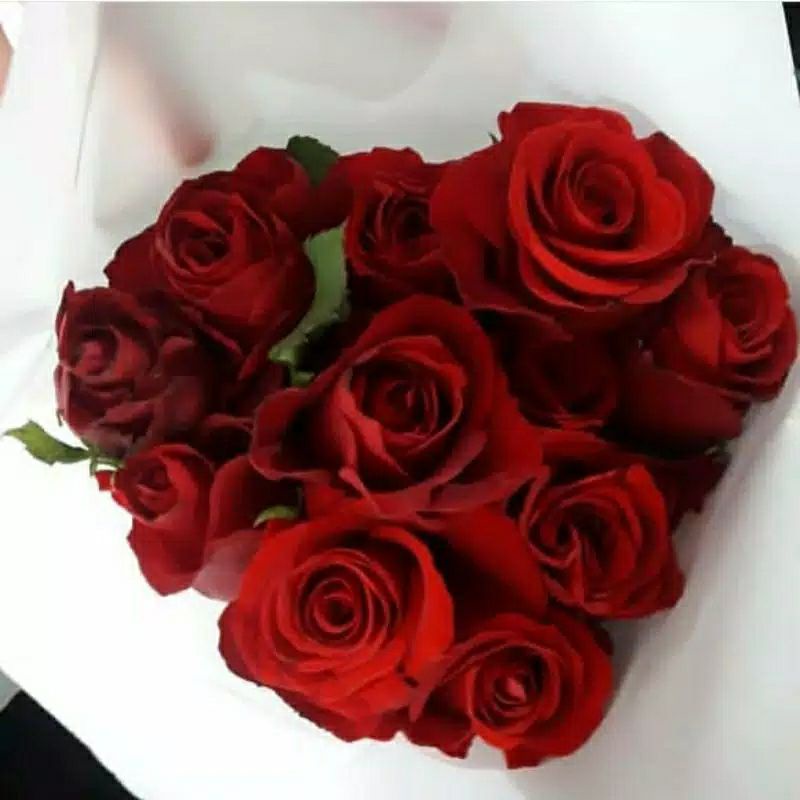 Jual Mawar segar 1 paket (25 pcs) | Shopee Indonesia