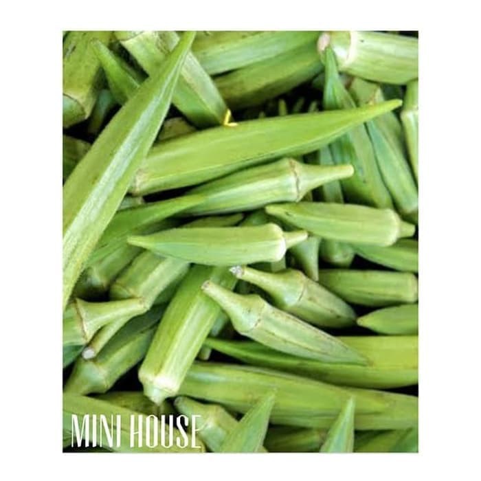 Jual biji benih okra bendi | Shopee Indonesia
