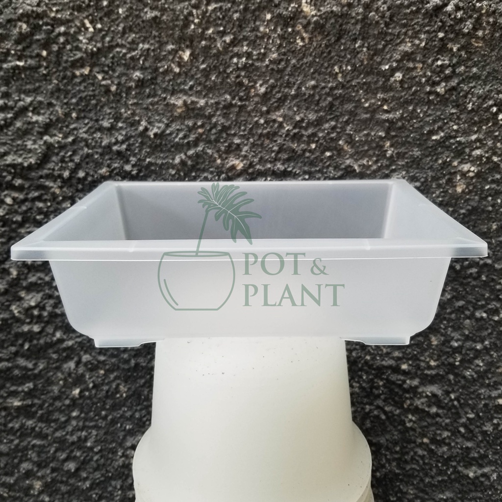 Jual Pot Plastik Ceper NKT Bonsai 02 - BENING / TRANSPARAN | Shopee ...