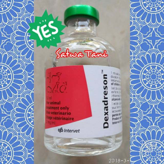 Jual DEXADRESON (Dexamethasone) | Shopee Indonesia