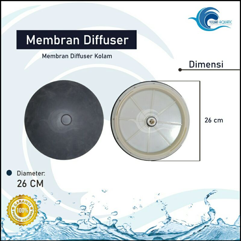 Jual Membran Diffuser Bottom Drain Kolam Koi 10inc Drat 3/4 diameter ...