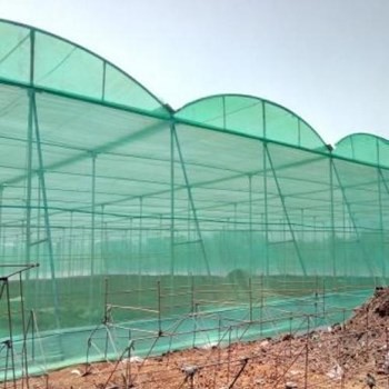 Jual insect net / kasa hijau / screen per meter (lebar 1 meter ...