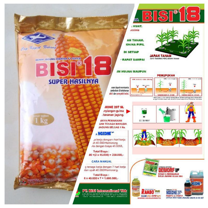 Jual MURAH!! 50 JAGUNG BISI 18 HIBRIDA SUPER/BIJI BIJIAN/TANAMAN KEBUN ...