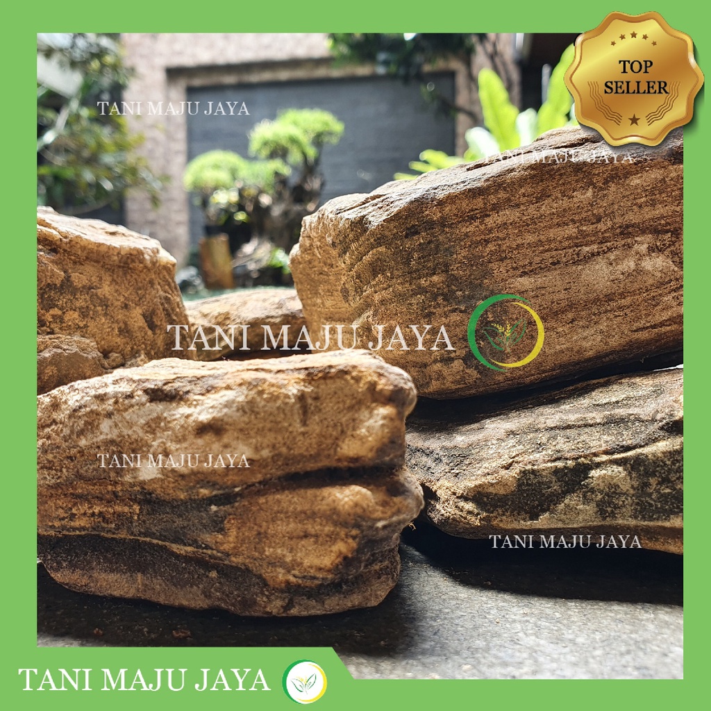 Jual Batu Bobing Bobbing Stone Basking Dekorasi Aquascape Terrarium ...