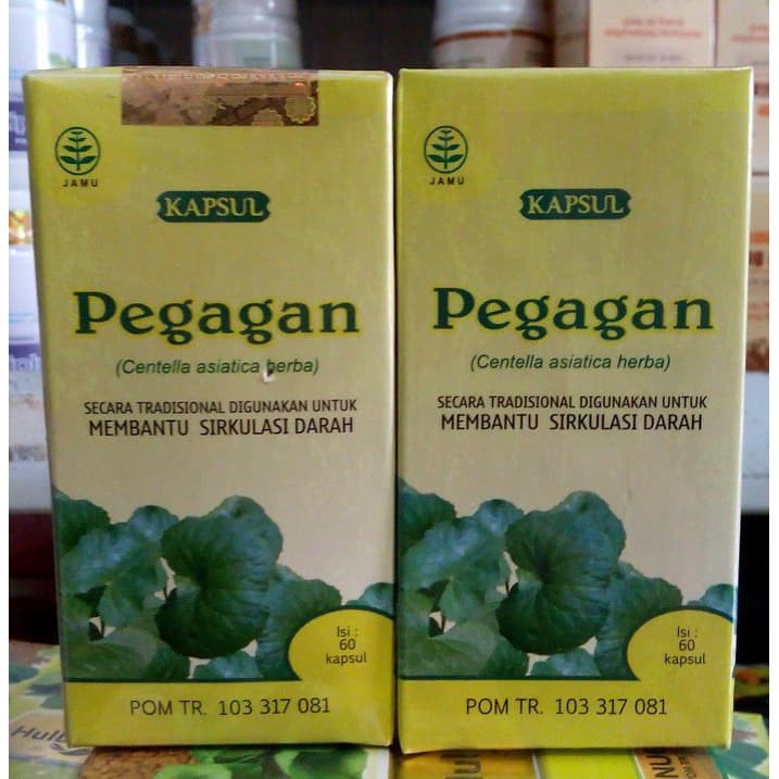 Jual Kapsul Ekstrak Pegagan Tazakka DIJAMIN ASLI DAN ORIGINAL | Shopee Indonesia