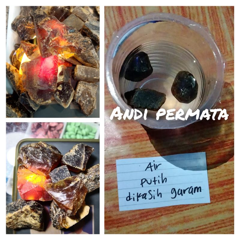 Jual Natural getah katilayu mengapung di air garam | Shopee Indonesia