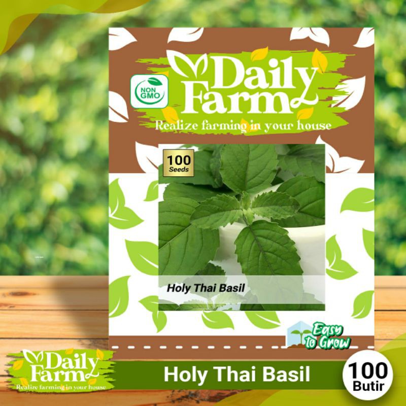 Jual Benih Holy Thai Basil - Bibit Bunga Tanaman Basil Thailan - Daily ...