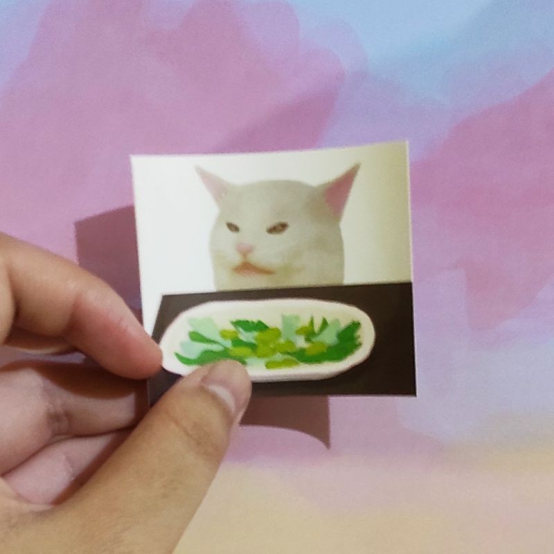 Jual STIKER LUCU KUCING MEME / Sticker Cat Merchandise Meme | Shopee ...