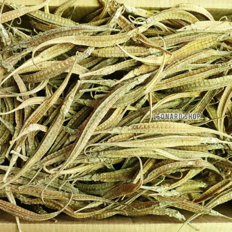 Jual NAGA LAUT BESAR SUPER 50 GRAM KERING HAI LONG HERBAL OBAT ...