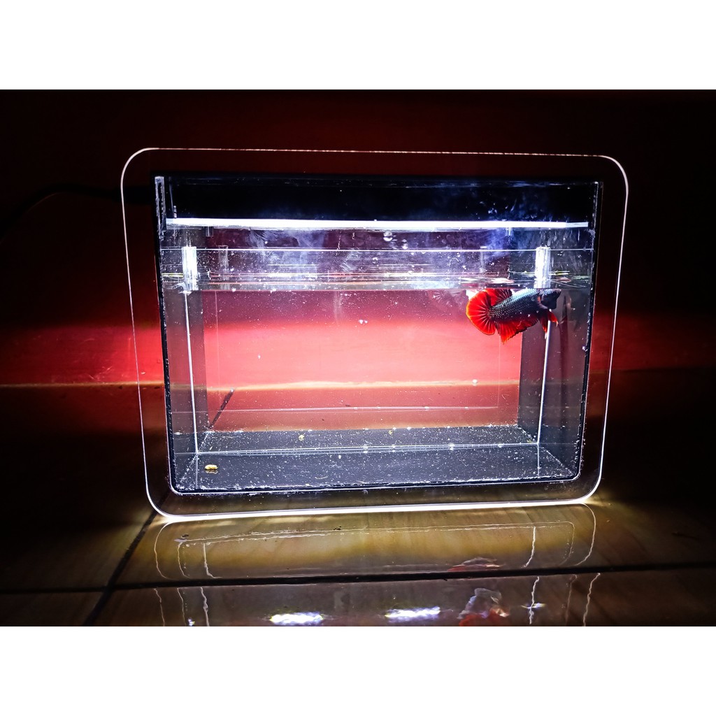 Jual Soliter Akrilik Poseidon LED2 Black - SOLITER AKRILIK SELFIE ...