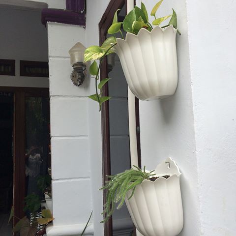 Jual pot bunga tempel/dinding warna warni (diameter 25cm) | Shopee ...