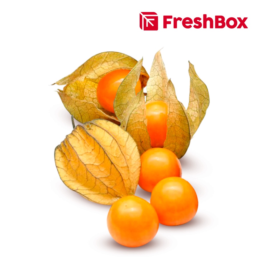 Jual Ciplukan 250gr (pck) FreshBox | Shopee Indonesia