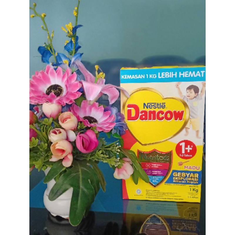 Jual dancow 1plus exp nov2024 1+ 1000g rasa madu,vanila murah 1kg ...