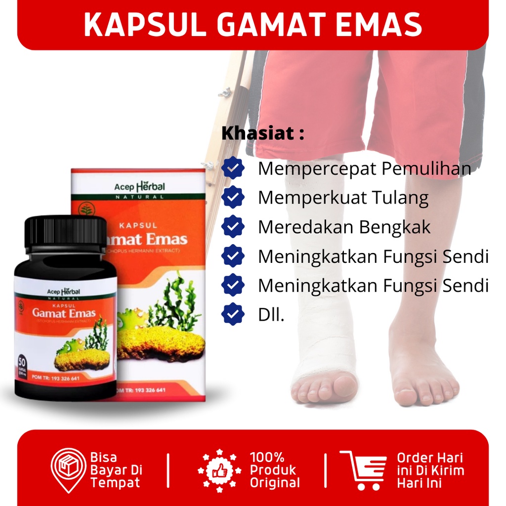 Jual Gamat Emas Kapsul - Obat Patah Tulang Kaki Tangan, Nutrisi ...