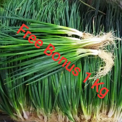 Jual Daun Bawang Cung | Chung | Daun Bawang Kecil 250gr + Gratis Bonus ...
