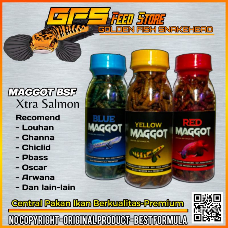 Jual Maggot BSF Grade AA Pakan Ikan Predator Kemasan Botol 100 ml ...