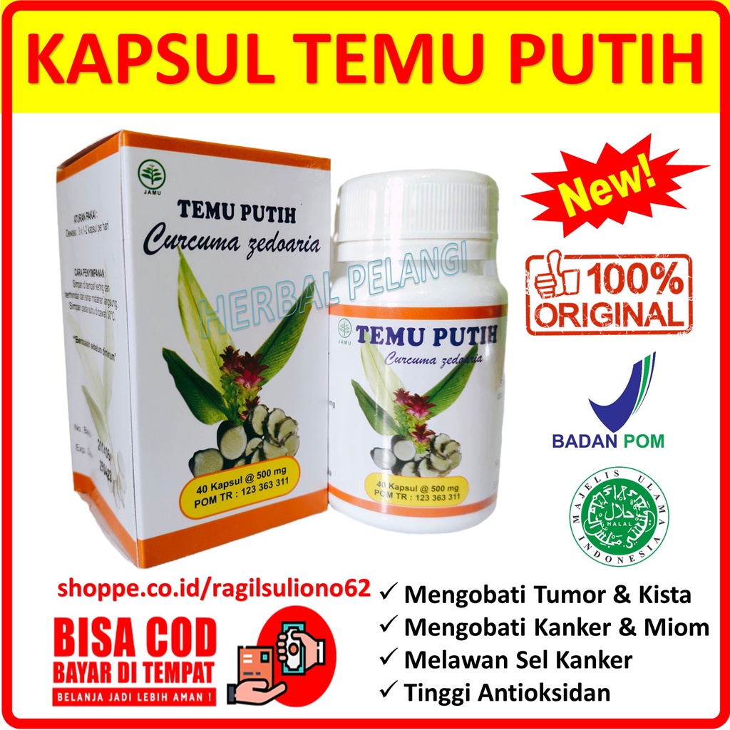 Jual Kapsul Temu Putih Temuputih TERBAIK Herbal Insani | Herbal ...