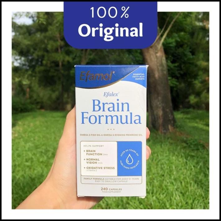 Jual Efamol Efalex Brain Formula 240 Kapsul - Suplemen Otak - Original ...