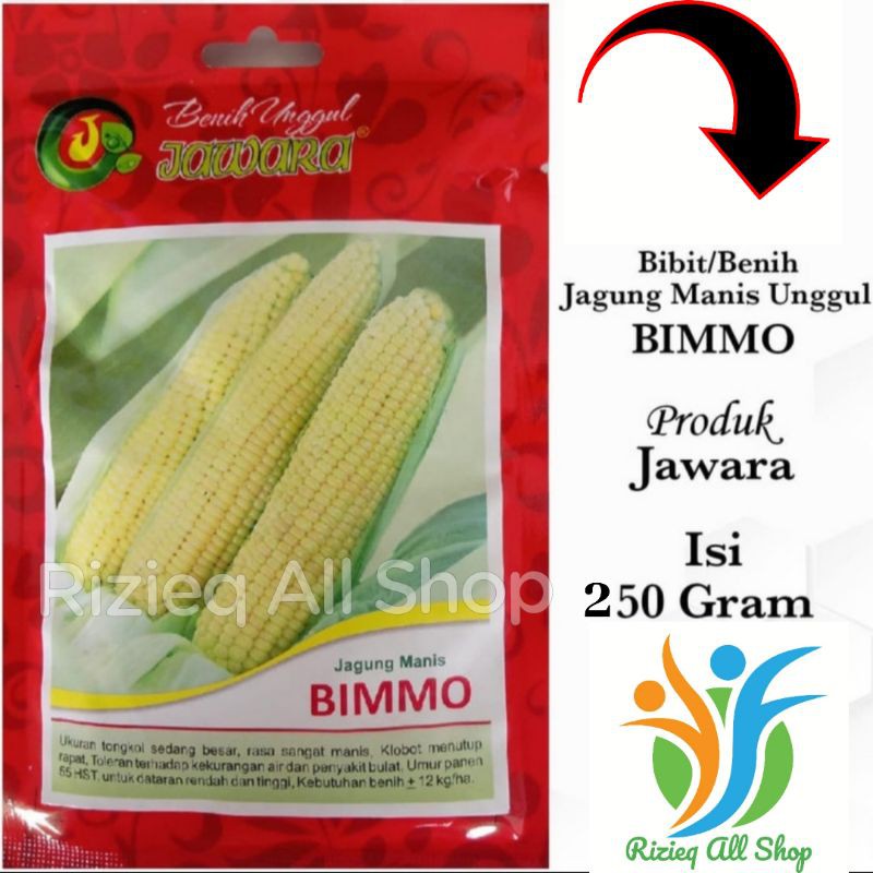 Jual Benih Jagung Manis BIMMO 250 gram Bibit Jagung Manis Unggulan JAWARA SEED | Shopee Indonesia