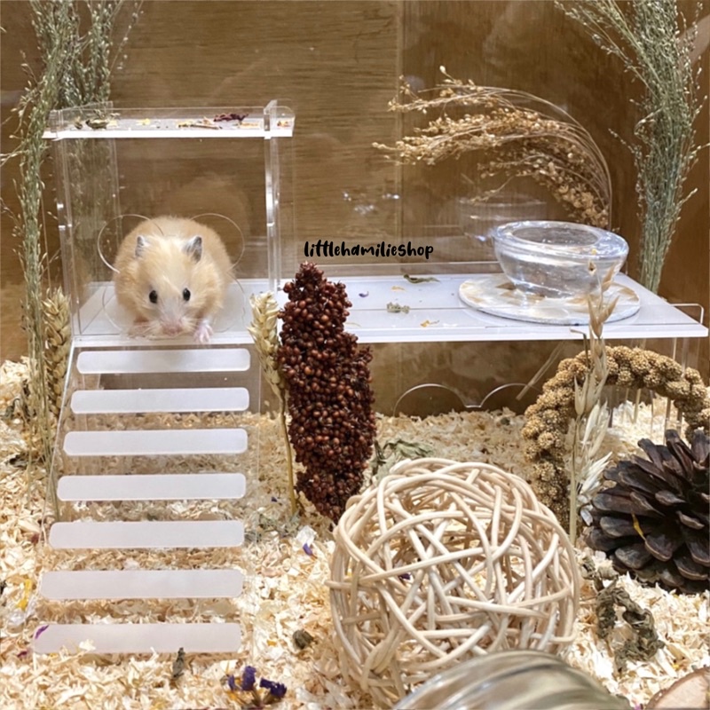 Jual THEIA - Acrylic Hamster Tower | Tunnel Hamster | Rumah Hamster ...