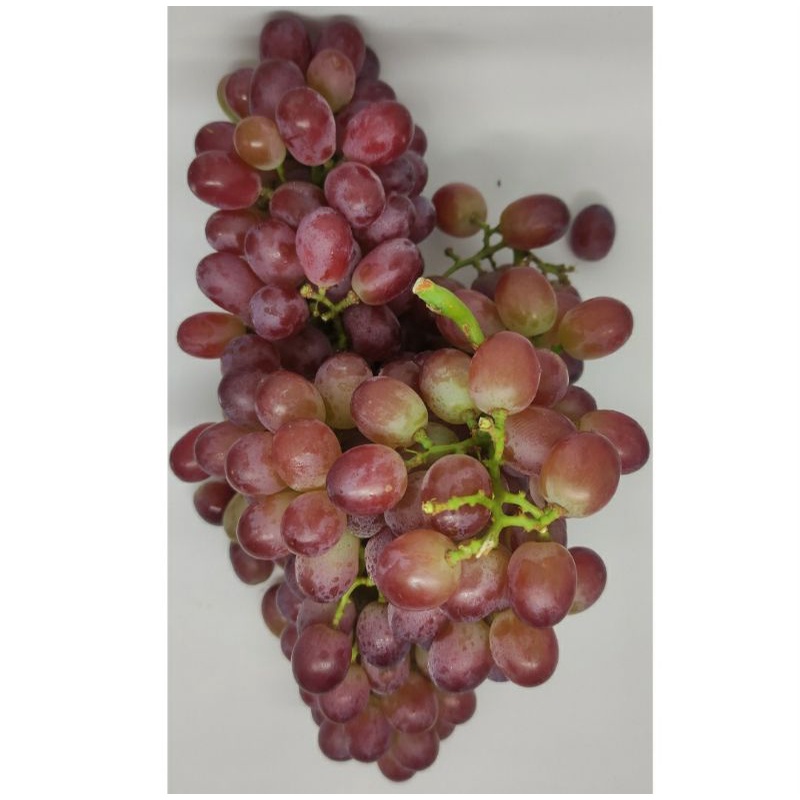 Jual Anggur crimson RRC | 1 kg | Shopee Indonesia