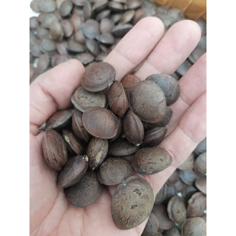 Jual KACANG SACHA INCHI BENIH | Shopee Indonesia