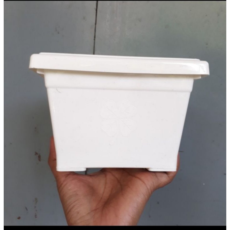 Jual Pot kotak putih no 20, pot kotak 14 cm, pot adenium, bonsai ...