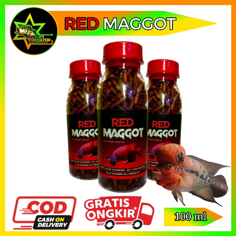Jual Red Maggot Maggot Kering Kemasan Botol 100 ml | Shopee Indonesia