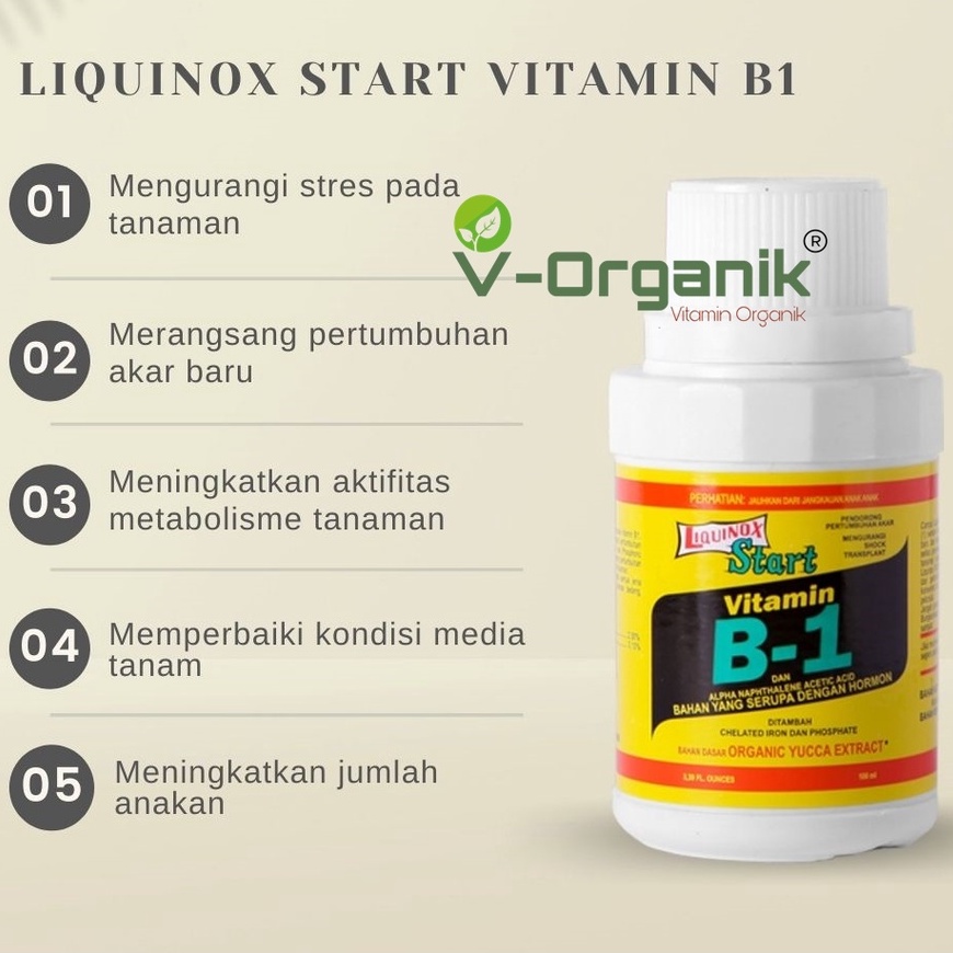 Jual Vitamin B1 Tanaman 100ML Liquinox Original Anti Stres Tanaman | Shopee Indonesia