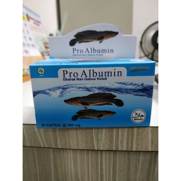 Jual Pro Albumin isi 50 kapsul/ ekstrak ikan gabus/kutuk | Shopee Indonesia