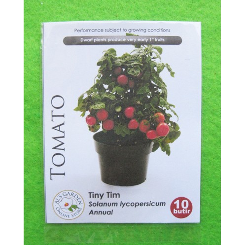 Jual Benih Biji Tomat Mini Tiny Tim Pack - Als Garden | Shopee Indonesia