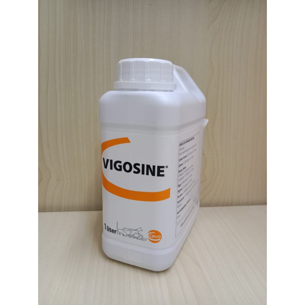 Jual Vigosine 1 Liter 1 L- VIGOSINE KEMASAN ORI 1 LITER memaksimalkan ...