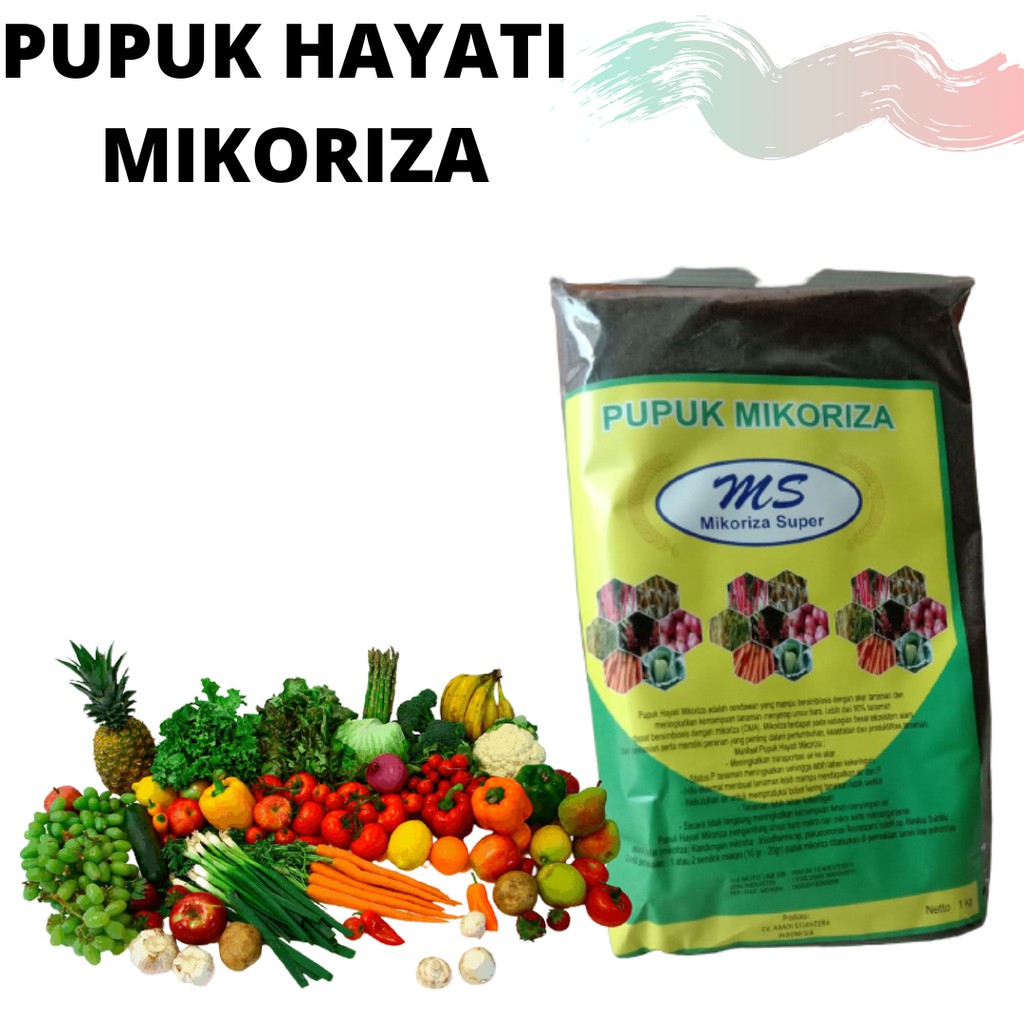 Jual Pupuk Perangsang Untuk Akar Tanaman, Penyubur Pada Tanaman Cabai ...