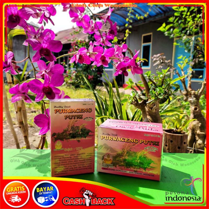 Jual PURWACENG DIENG PURBA ORIGINAL100% / BUBUK MINUMAN HERBAL KHAS ...