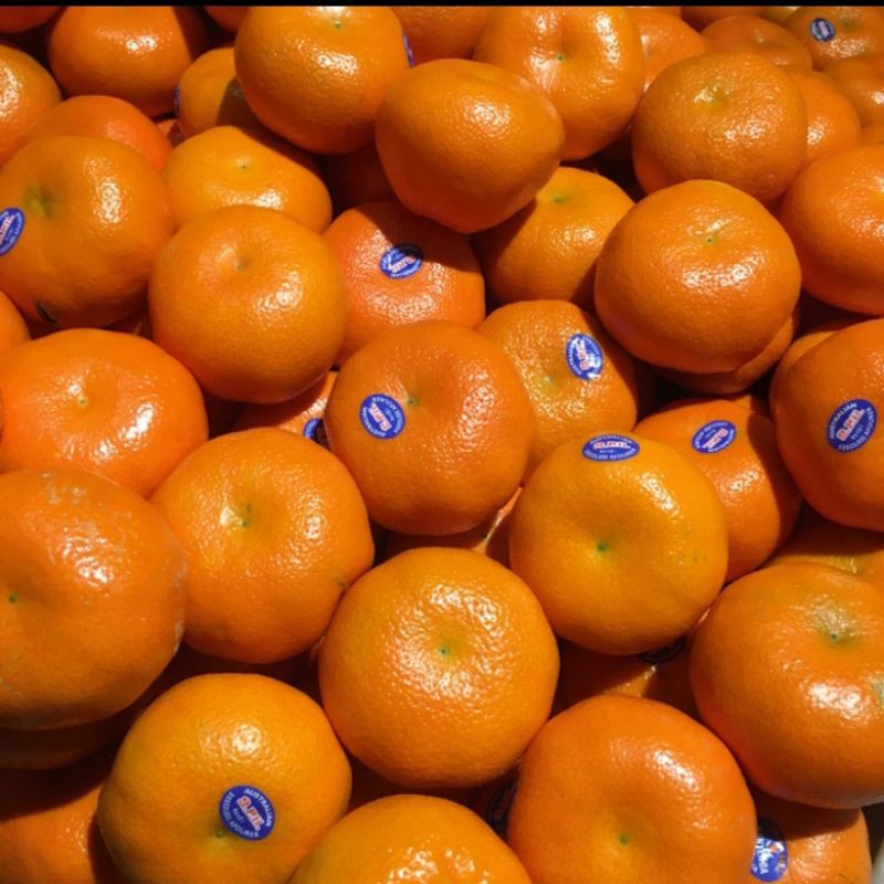 Jual Jeruk Mandarin Afourer Autralia Tanpa Biji 1kg | Shopee Indonesia