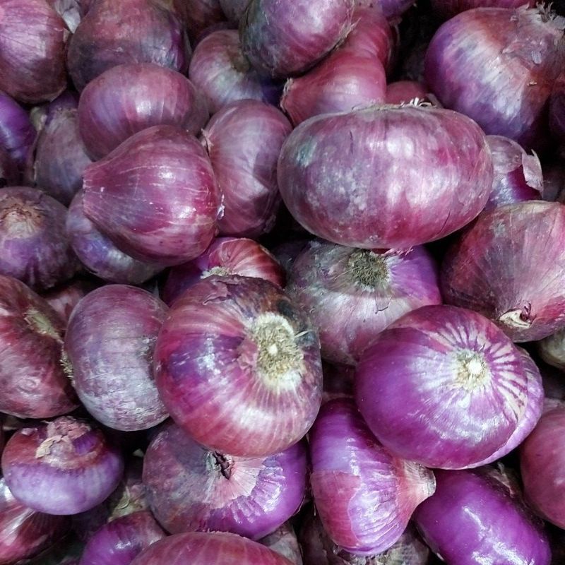 Jual BAWANG MERAH INDIA/BERRY&BAWANG BIMA 1KG MURAH BANGET | Shopee ...
