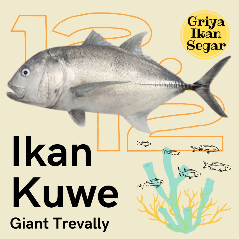 Jual IKAN KUWE segar GIANT TREVALLY | Shopee Indonesia