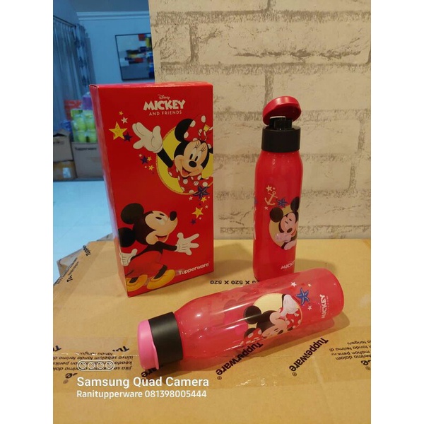 Jual botol mikey atau minie jual /pcs | Shopee Indonesia