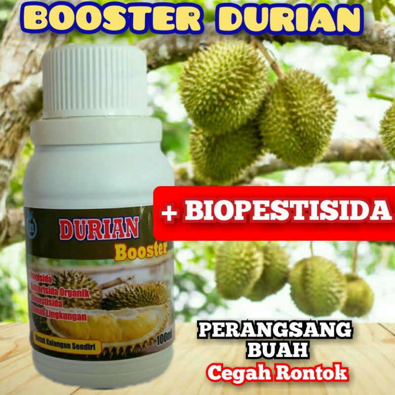 Jual Pupuk Durian Booster Plus Biopestisida Pelebat dan Perangsang Bunga Anti Rontok | Shopee ...