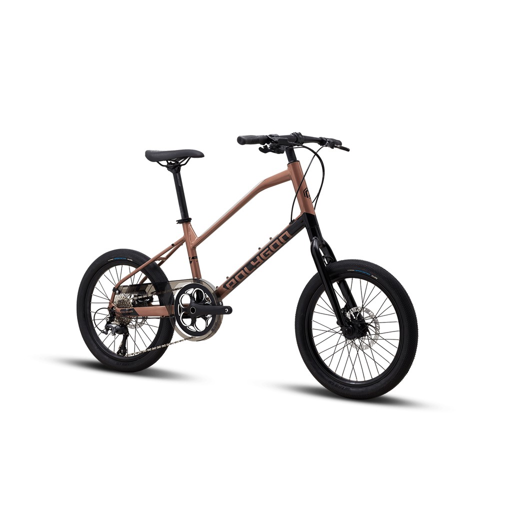 Jual SEPEDA POLYGON 20 MINI VELO ZETA | Shopee Indonesia