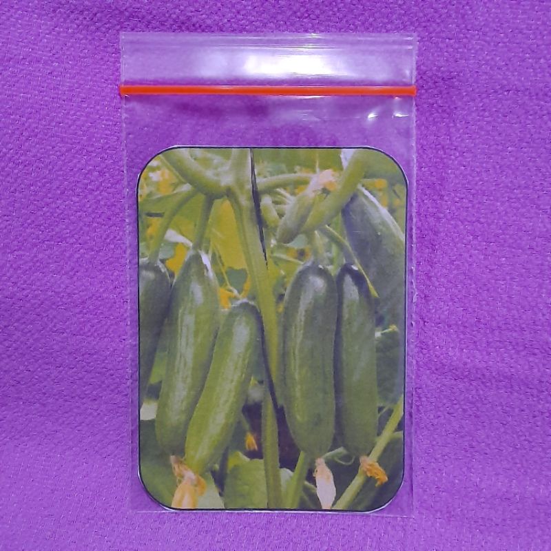 Jual Biji Timun Benih Timun Biji Mentimun Siap Semai | Shopee Indonesia