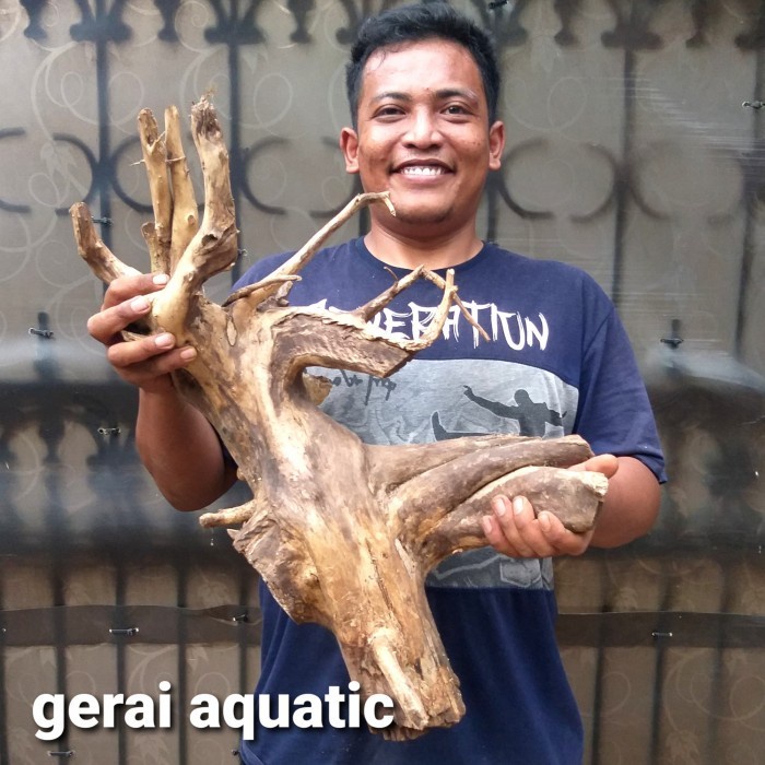 Jual kayu laut KL012 aquascape aquarium | Shopee Indonesia